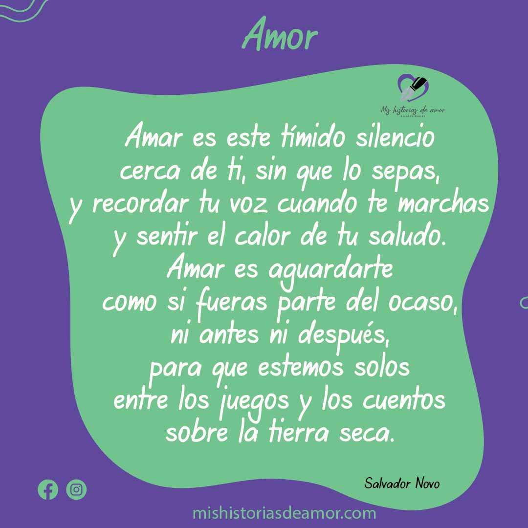 ️ Poemas De Amor Cortos Para Dedicar Y Enamorar En Español